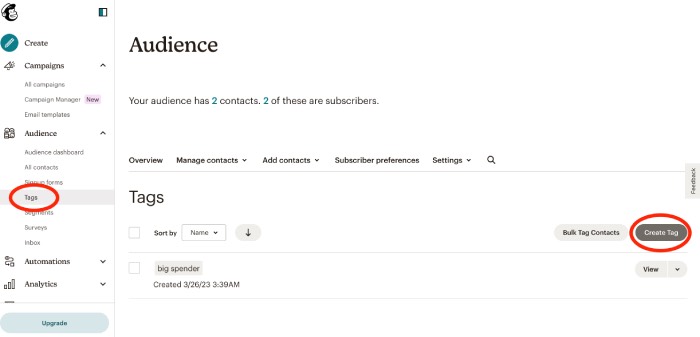 Mailchimp segments vs tags: What are the differences?